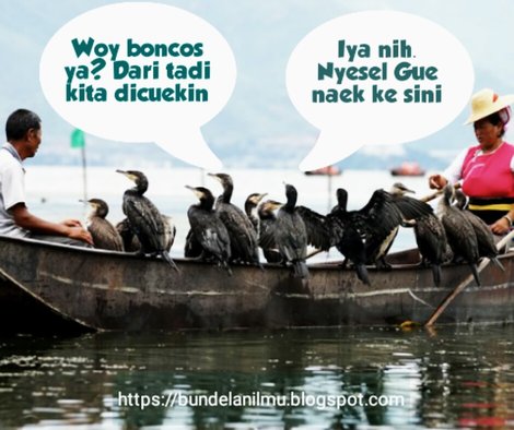 19 Meme Mancing Lucu Bikin Ngakak Satu RT - Beja-Beja Blog Inspirasi