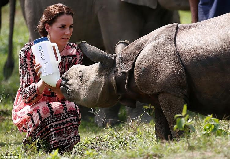 Photos: Duchess Kate Middleton happily feeds a baby rhino and elephant ...