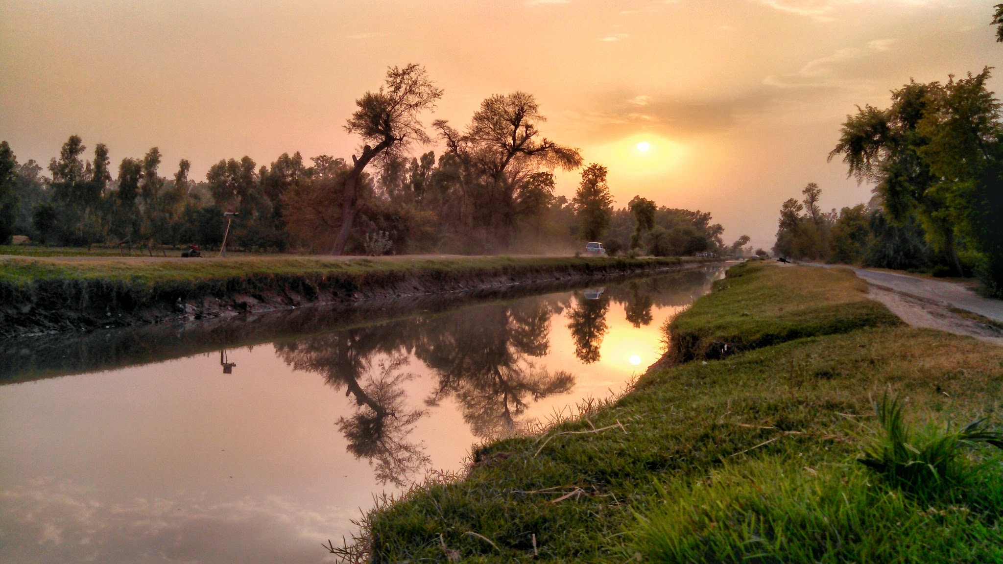 Quick 3 Nature Mobile Photography Ideas and Tips To Be A Pro. Photographer