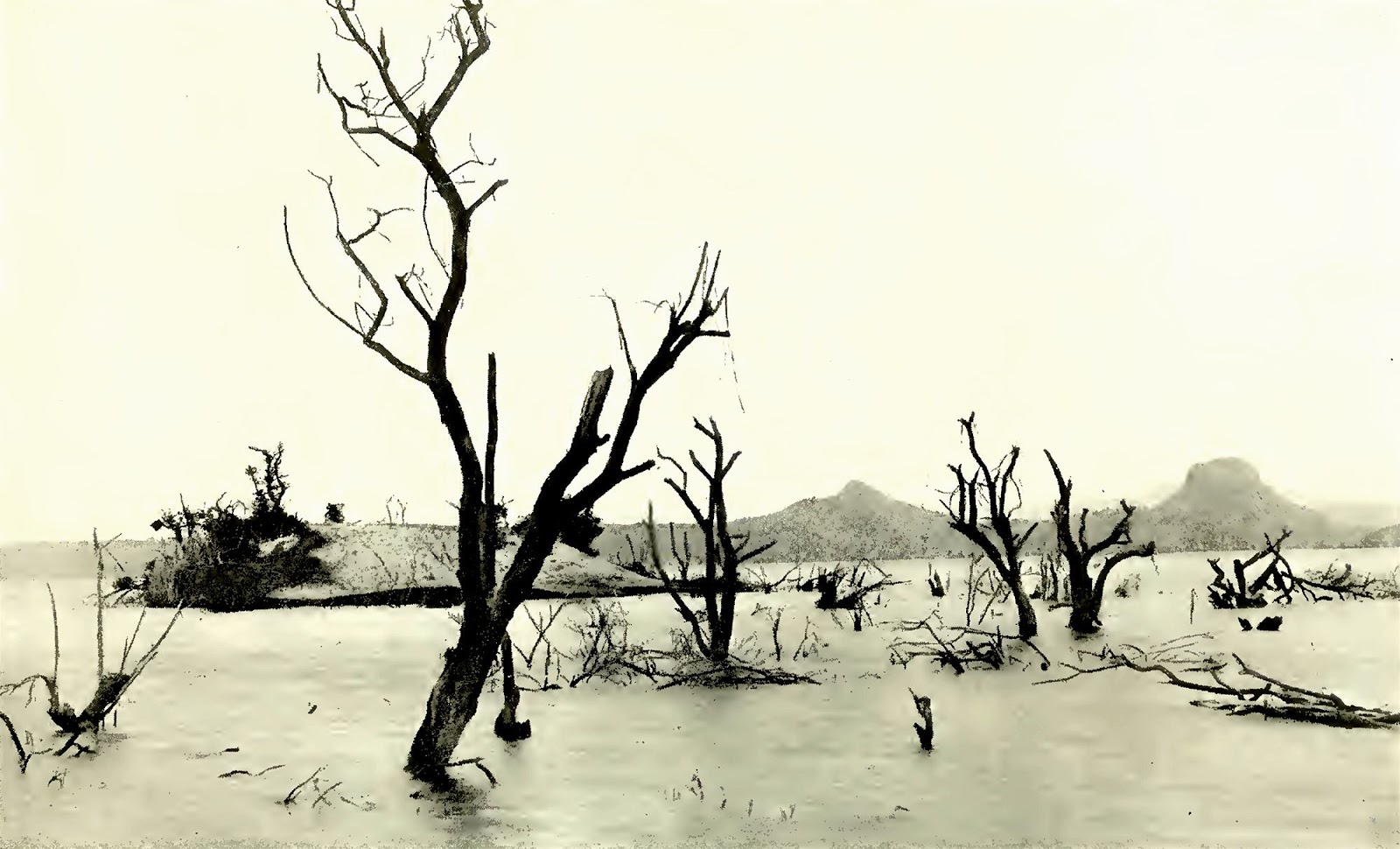 Mga Larawan Sa Great Eruption Ng Bulkang Taal Noong Taong 1911 Kumakalat Sa Social Media