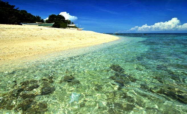 Bohol's Roving Eye: It's More Fun In Bohol This Summer