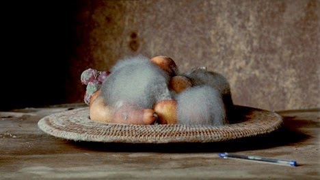 Decomposition: Sam Taylor Wood - 'Still Life' & 'A Little Death'