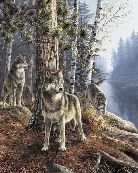 White Wolf : James Meger - Wildlife artist who paints with hidden ...