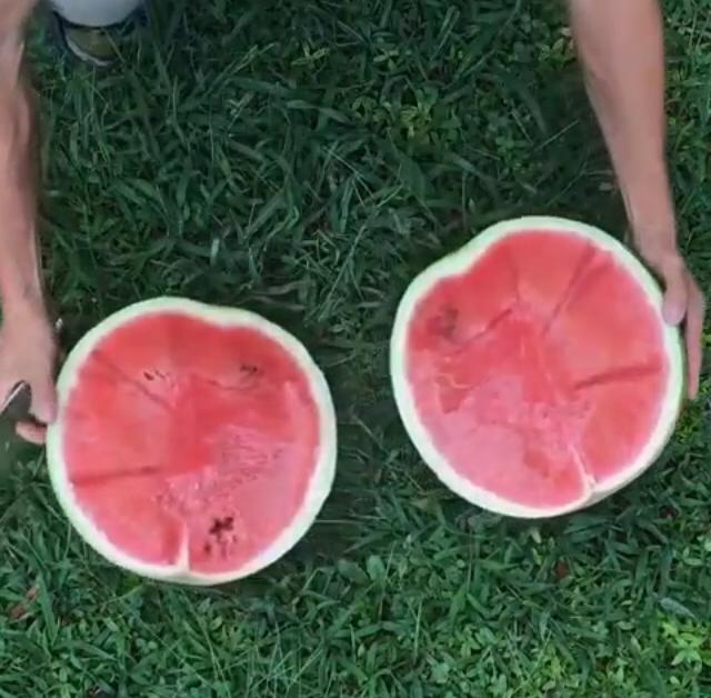 5 Tips for Choosing Watermelon that Tastes Sweet