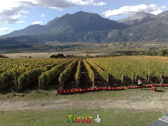 Restauración de la República Argentina en Unión y Libertad: Diagonal Árida