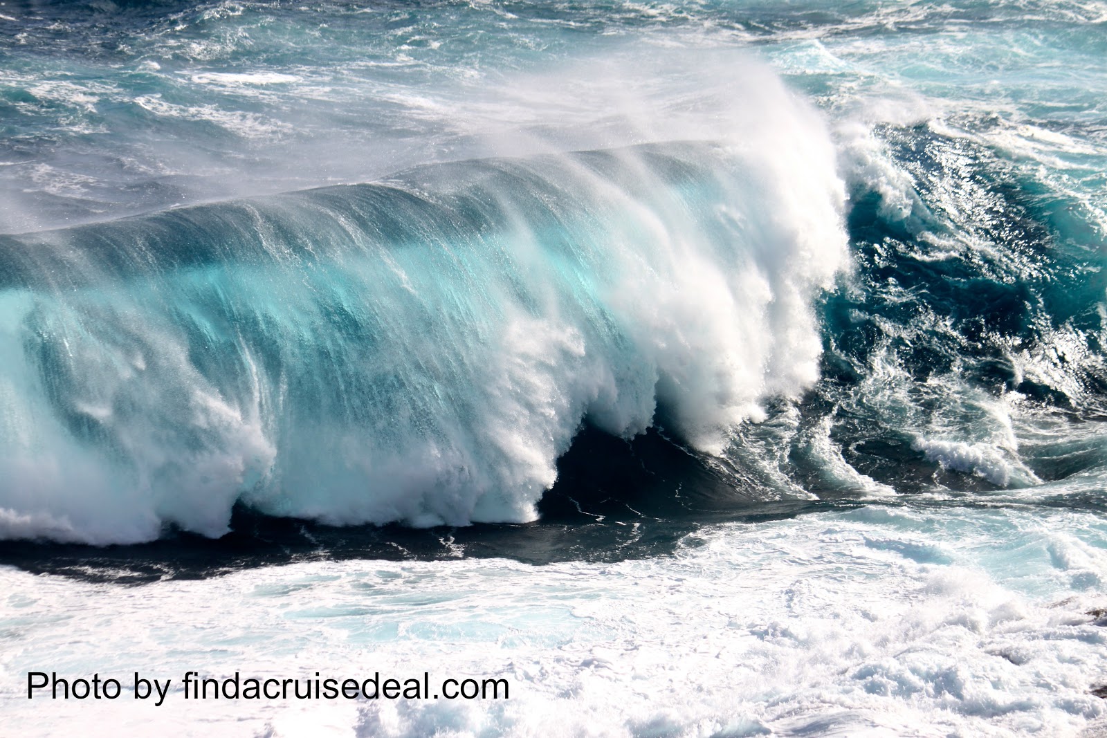 Carl's Cruise Capers and Travel Tips