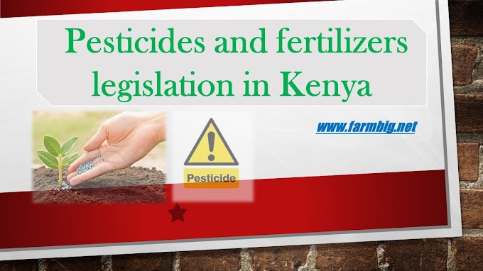Assessment Of Pesticides And Fertilizer Regulations In Kenya To Ensure Operator Consumer assessment-of-pesticides-and-fertilizer-regulations-in-kenya-to-ensure-operator-consumer