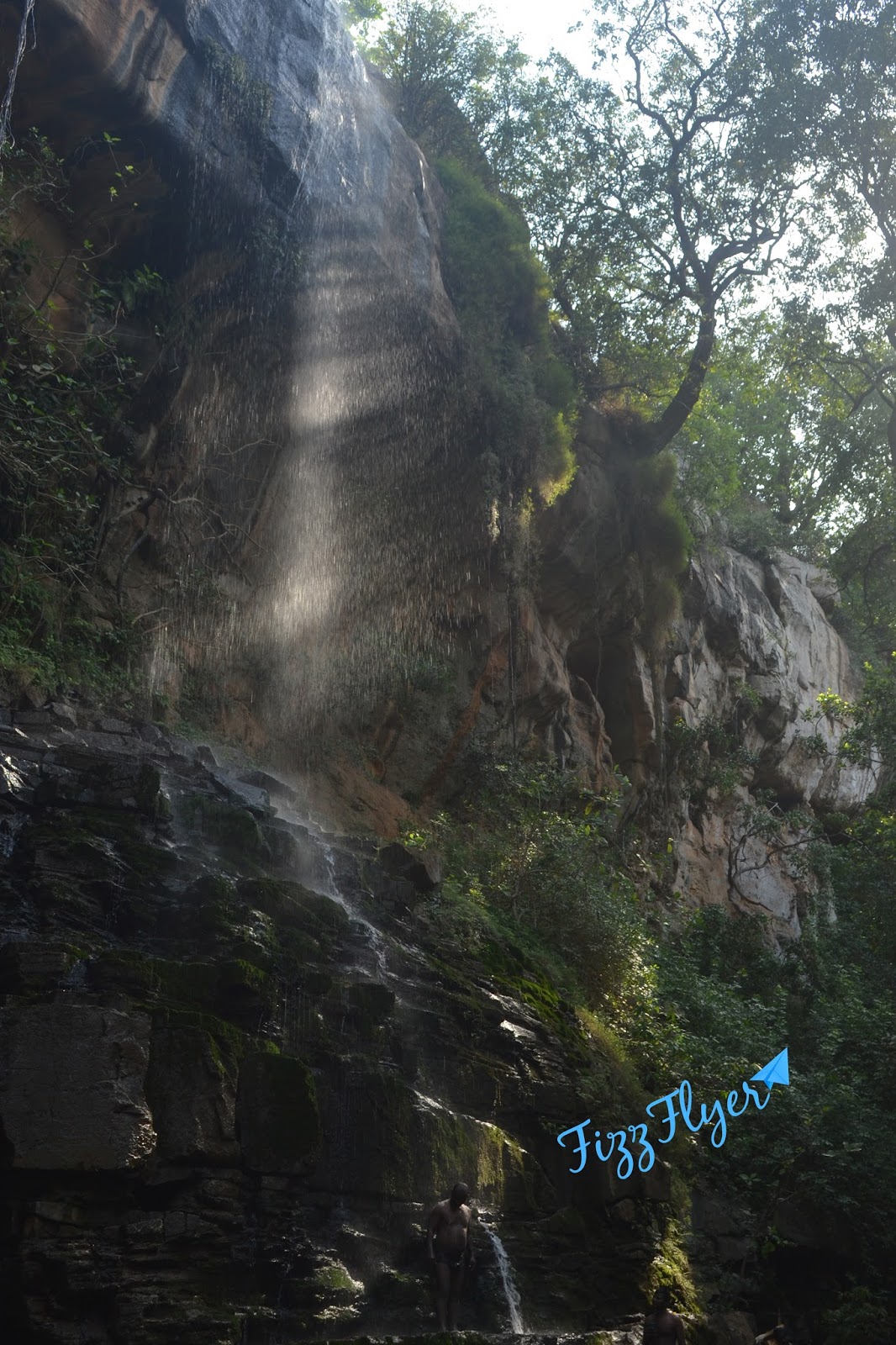 My journey and experiences of Mysterious Saleshwaram Temple ll Nallamala...