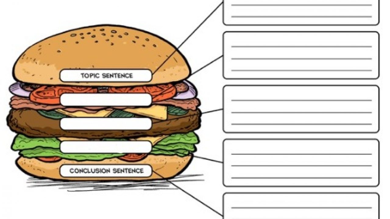 Using The Paragraph Hamburger to Make Writing Easier (Includes 7 ...