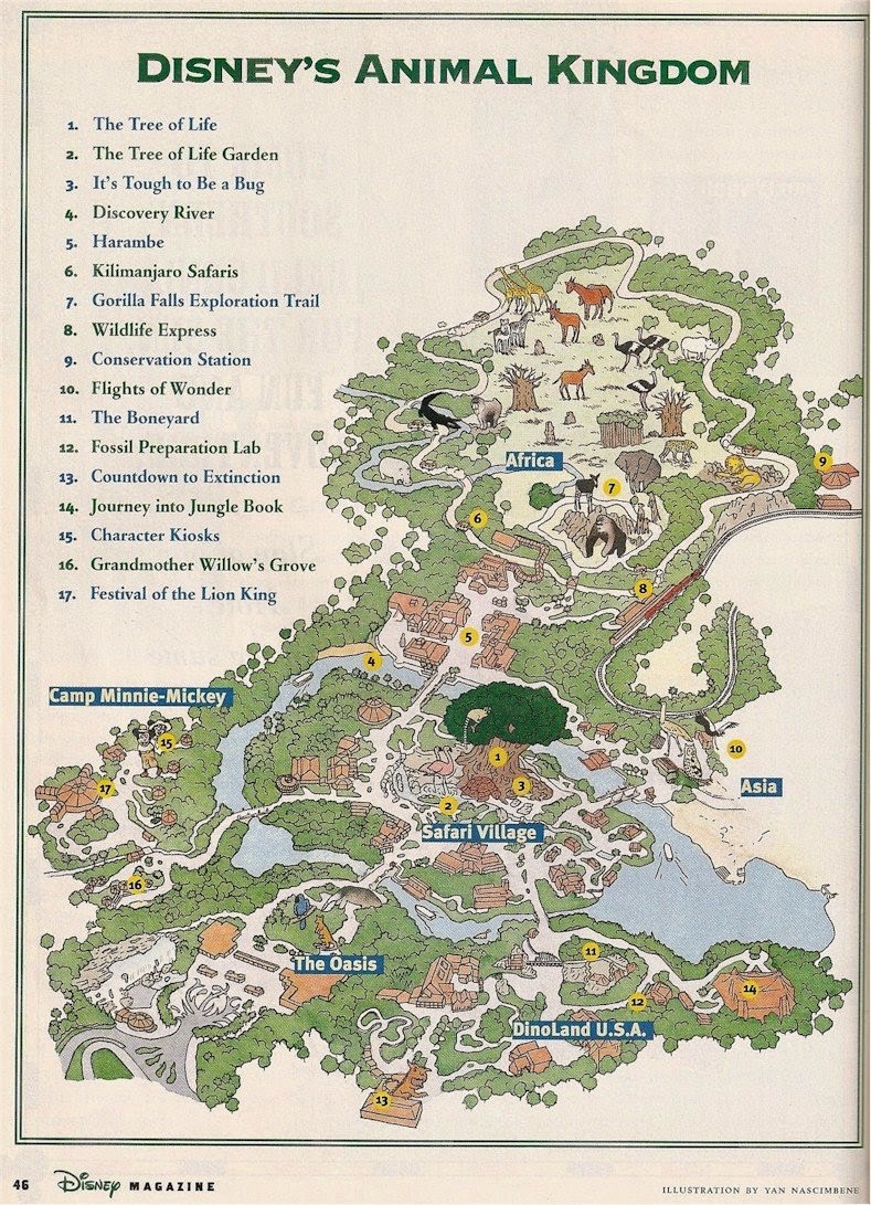 Insights and Sounds: Disney's Animal Kingdom Series Continues