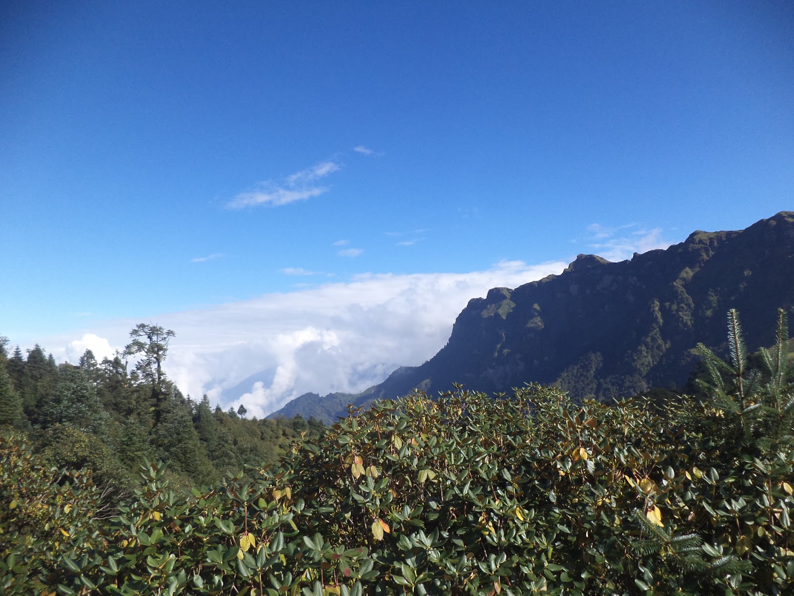 Solo trek to kalinchowk - My Holiday Nepal Travel Blog