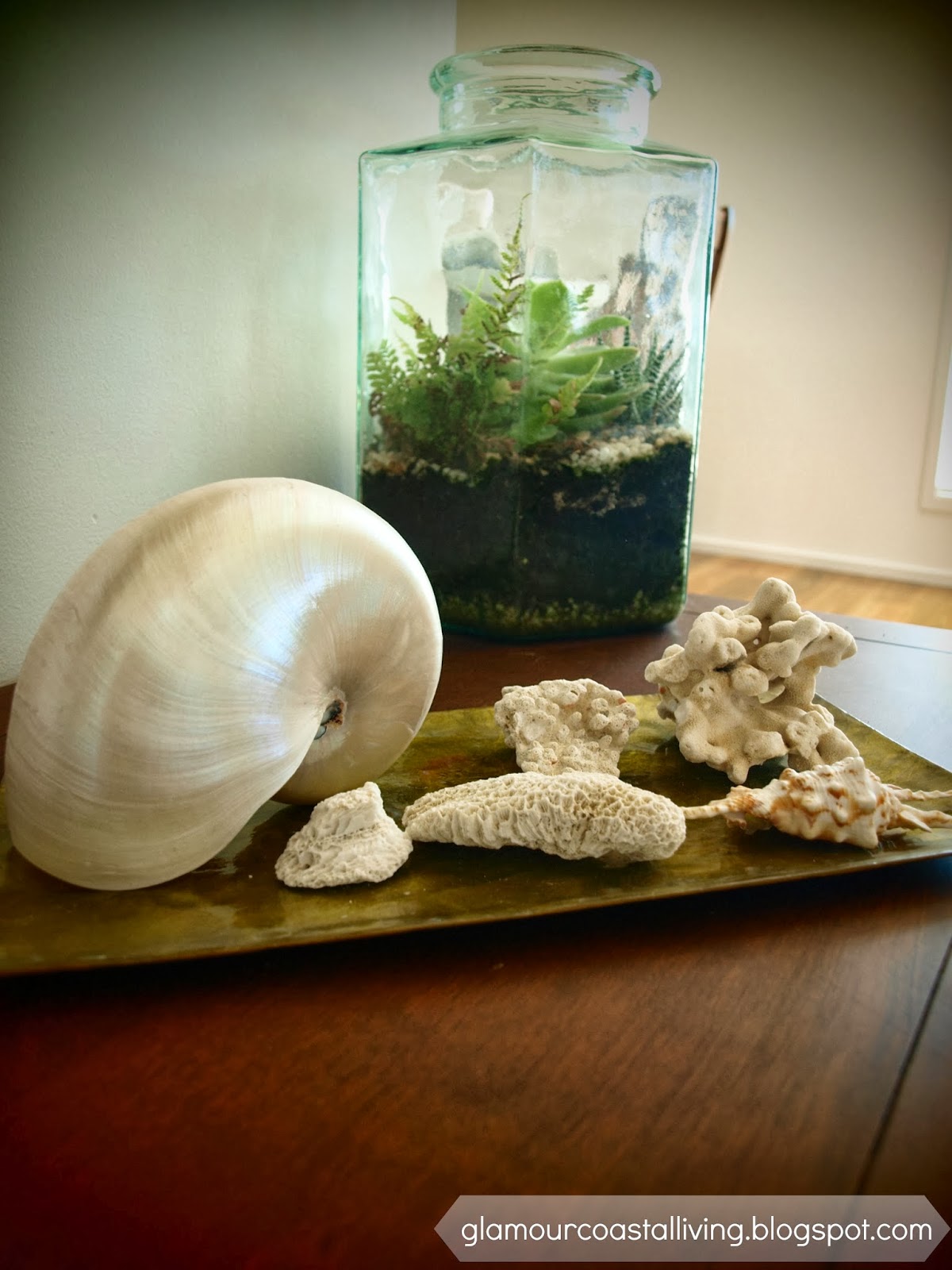 My Succulent Gardens | Glamour Coastal Living