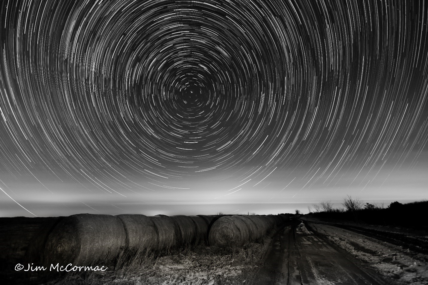 Ohio Birds and Biodiversity: Starry Skies