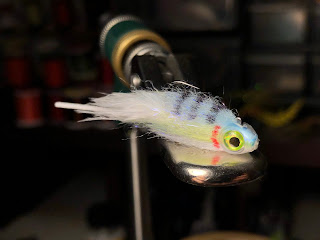 Bobcat Hollow Fly Fishing/Tying: Tying Tutorial: A Balanced Minnow