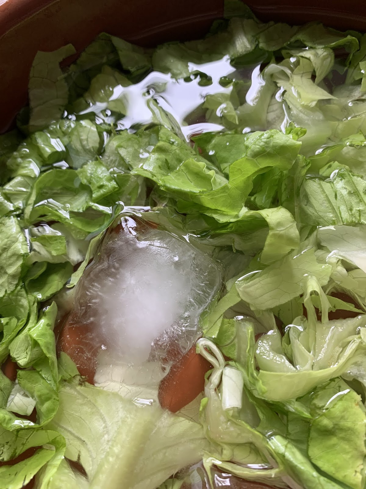 LA COCINA DE JUANA TERESA: REFRESCAR LA LECHUGA CON HIELO