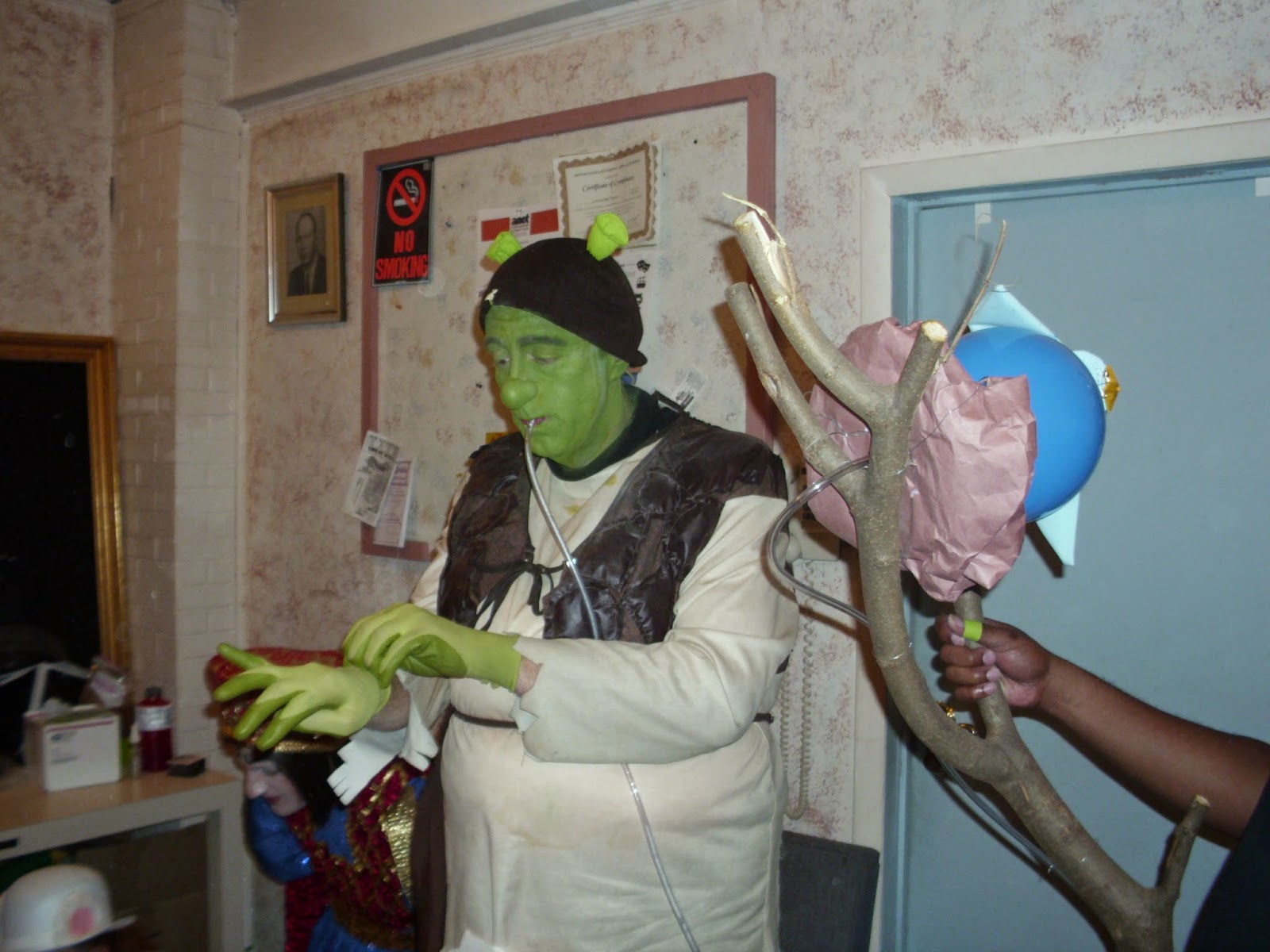 Joe McDonald's Hidden Blog: Shrek Diary: Final Show In Pictures
