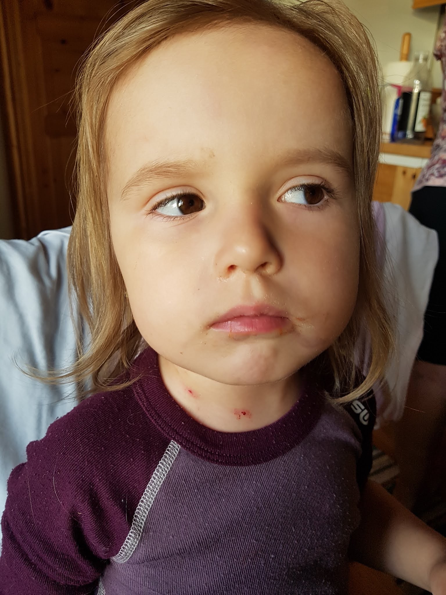 Vikinganya: A norvég "hytte"-kultúra - Korona-nyaralás norvég módra 2.rész