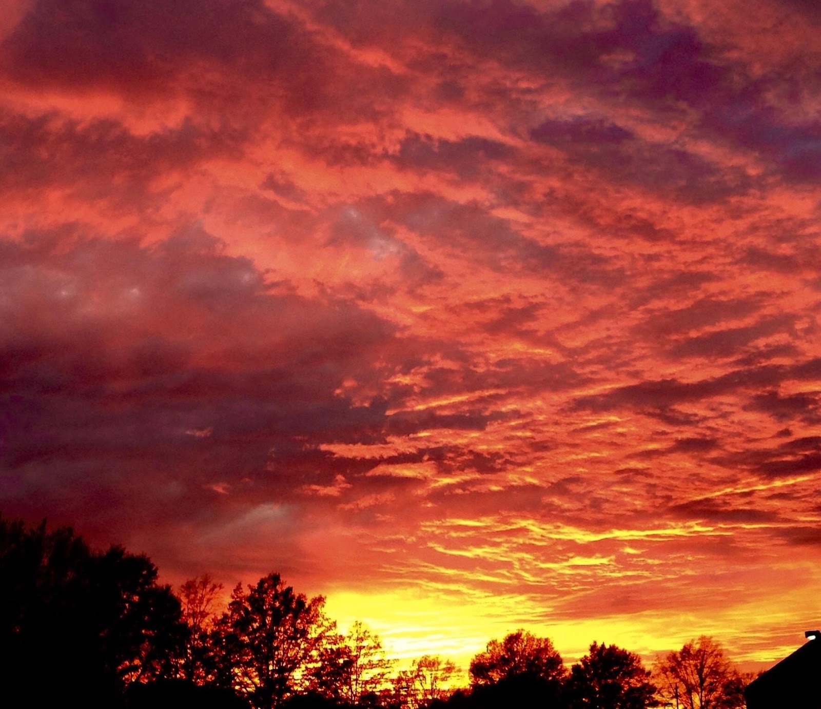 Not Dark Yet: Saturday Haiku: Fiery Sky