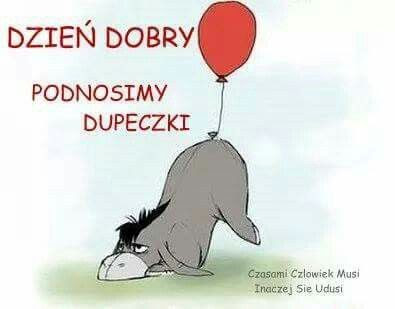Bajeczki Stokrotki: Nie poddajemy się!!!!!