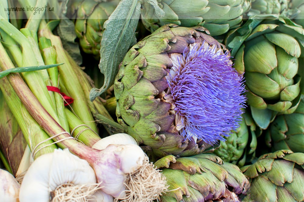 Wynn Anne's Meanderings: California: Flora