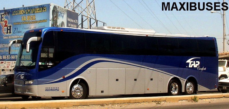 MAXIBUSES: TRANSPORTES Y AUTOBUSES DEL PACÍFICO, CONFORT (TAP CONFORT)