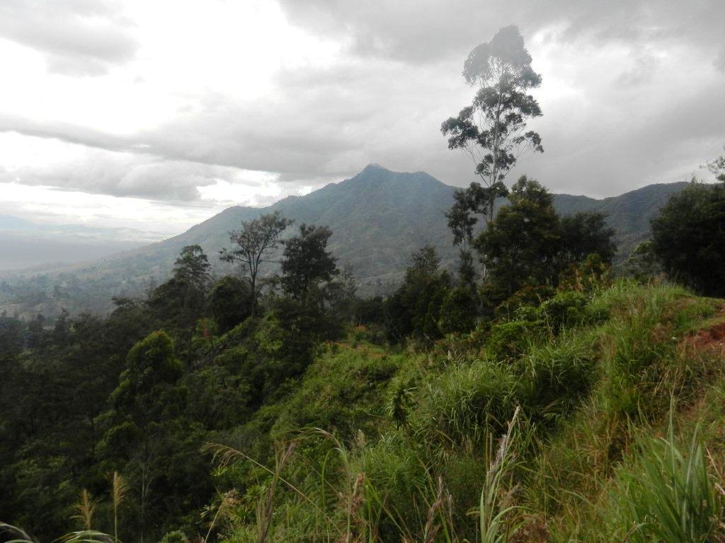 Malum Nalu: Postcards from Daulo Pass