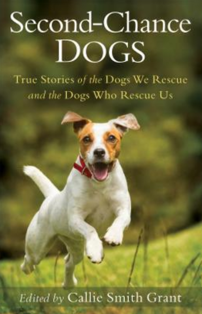 Second Chance Dogs, #ourgoodlifebooklist | Our Good Life