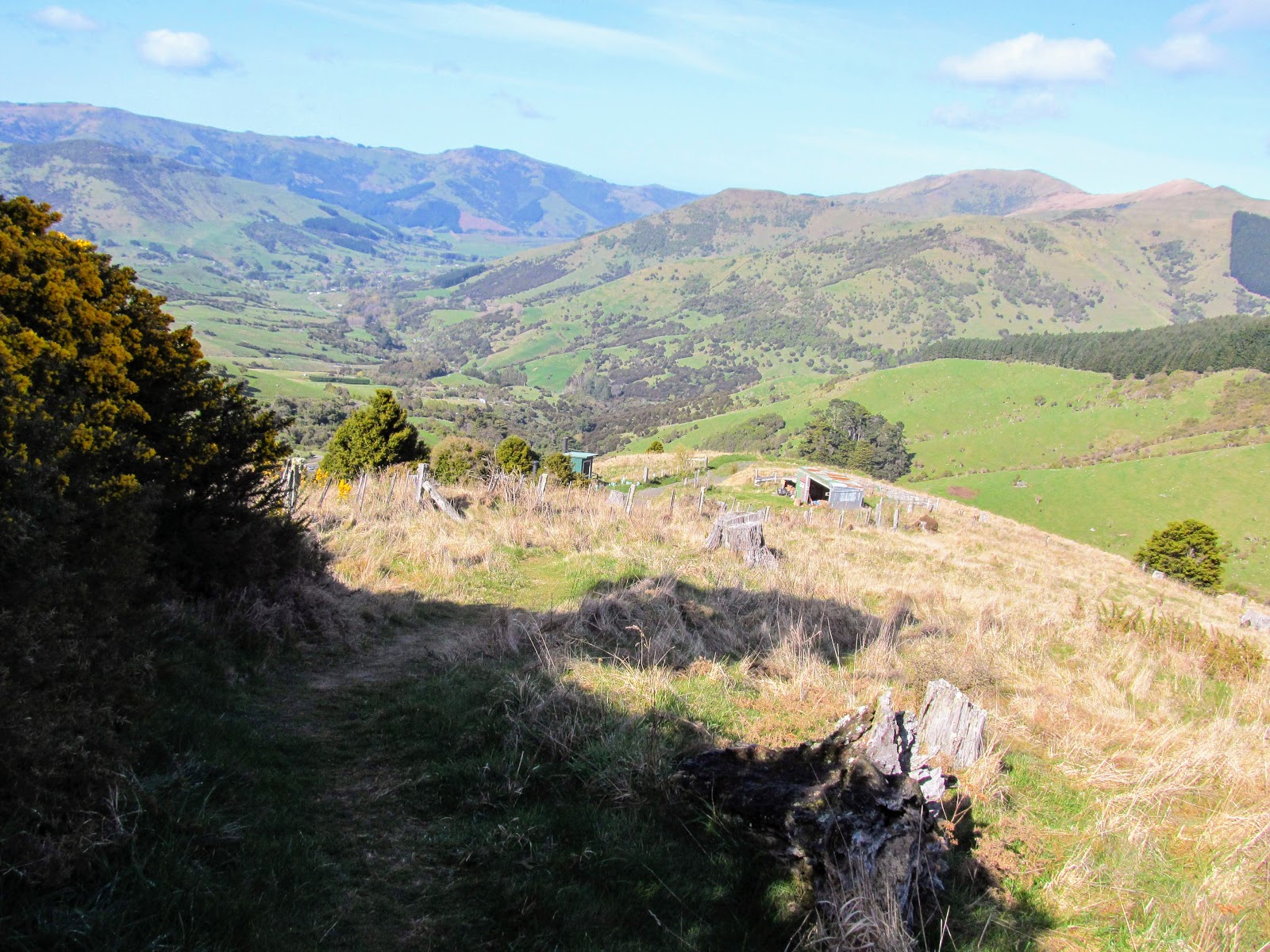 Tramping in the New Zealand backcountry: NZ Bush Adventures: Rod Donald ...