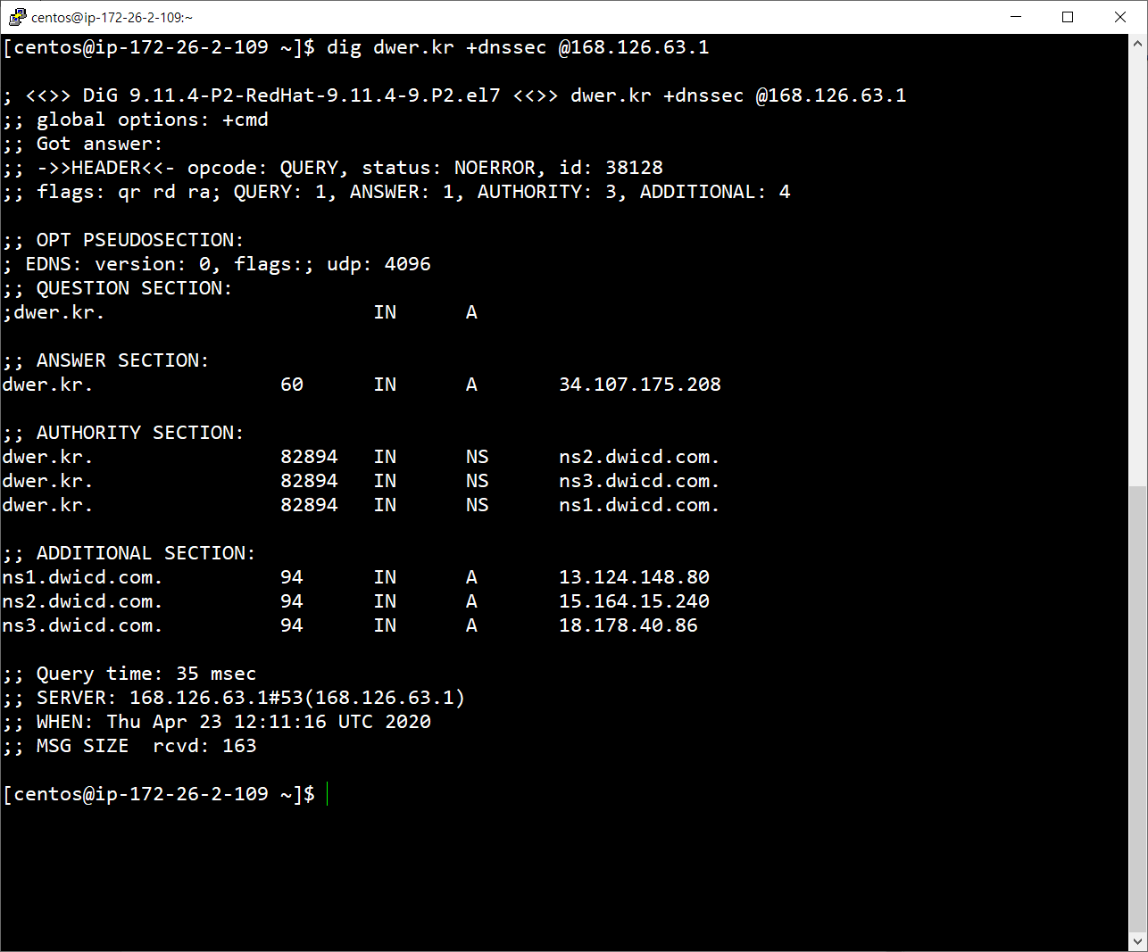 dig 명령어 간단 사용법