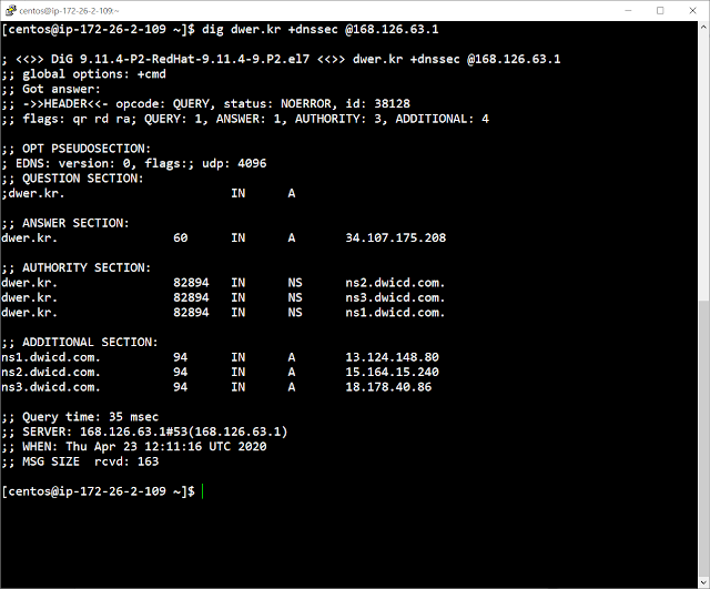 dig 명령어 간단 사용법