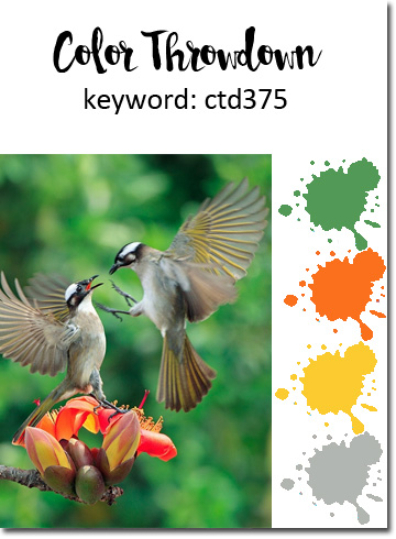 Color Throwdown: Color Throwdown #375