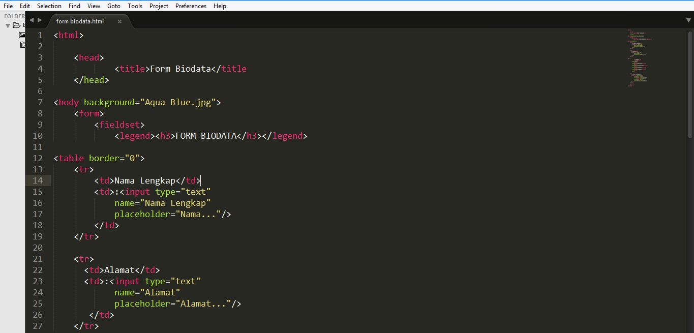 Dandi Mointi: Membuat Form Biodata dengan html