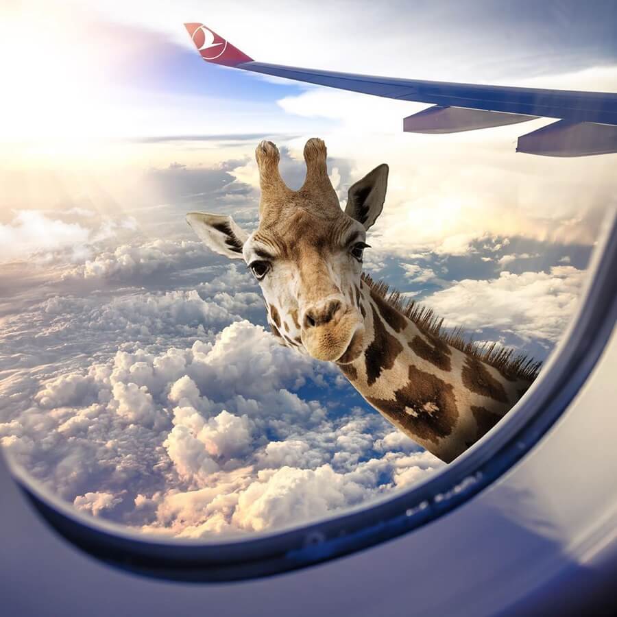 Design Stack: A Blog about Art, Design and Architecture: Fantasy and ...