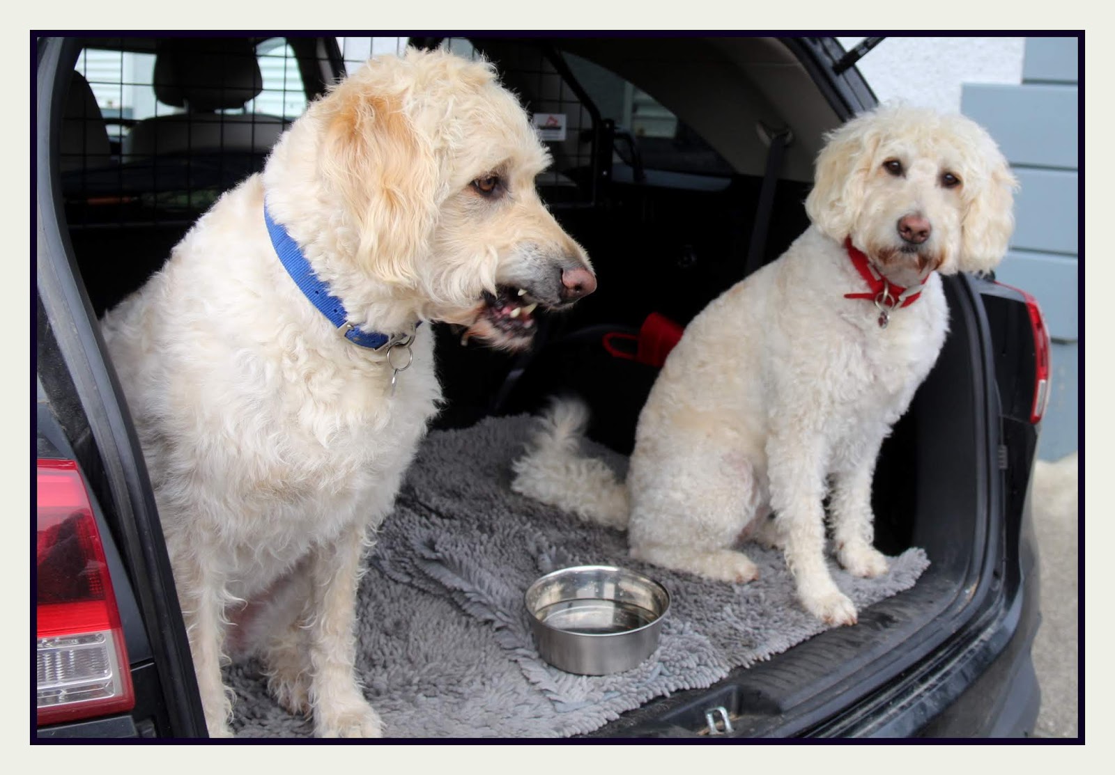 Slight Detour: Family Roots, Irish Poet, Malin Head, Et. Al.