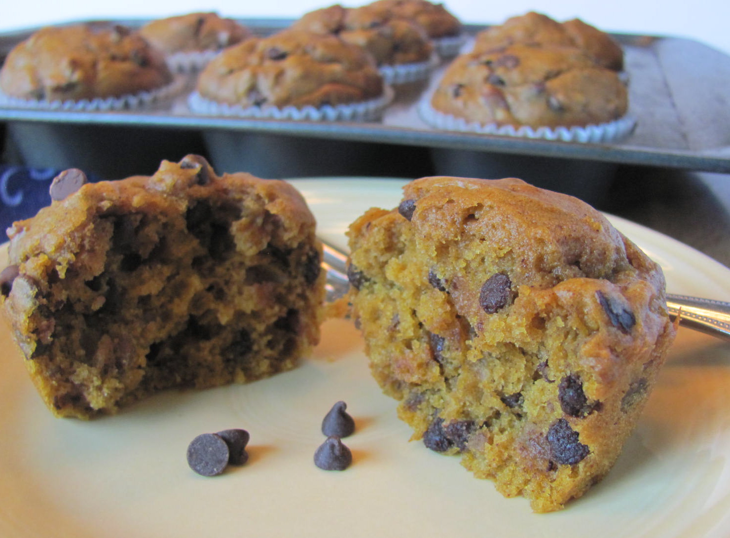 Sprinkle Some Sunshine!: pumpkin chocolate chip muffin party!