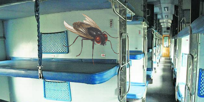 Why fly in a moving train does not hit the wall, read here ...