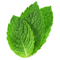 GUJARATI GAZAL - DIVASO JUDAI NA JAY CHHE..... - SANTVANI DHAM