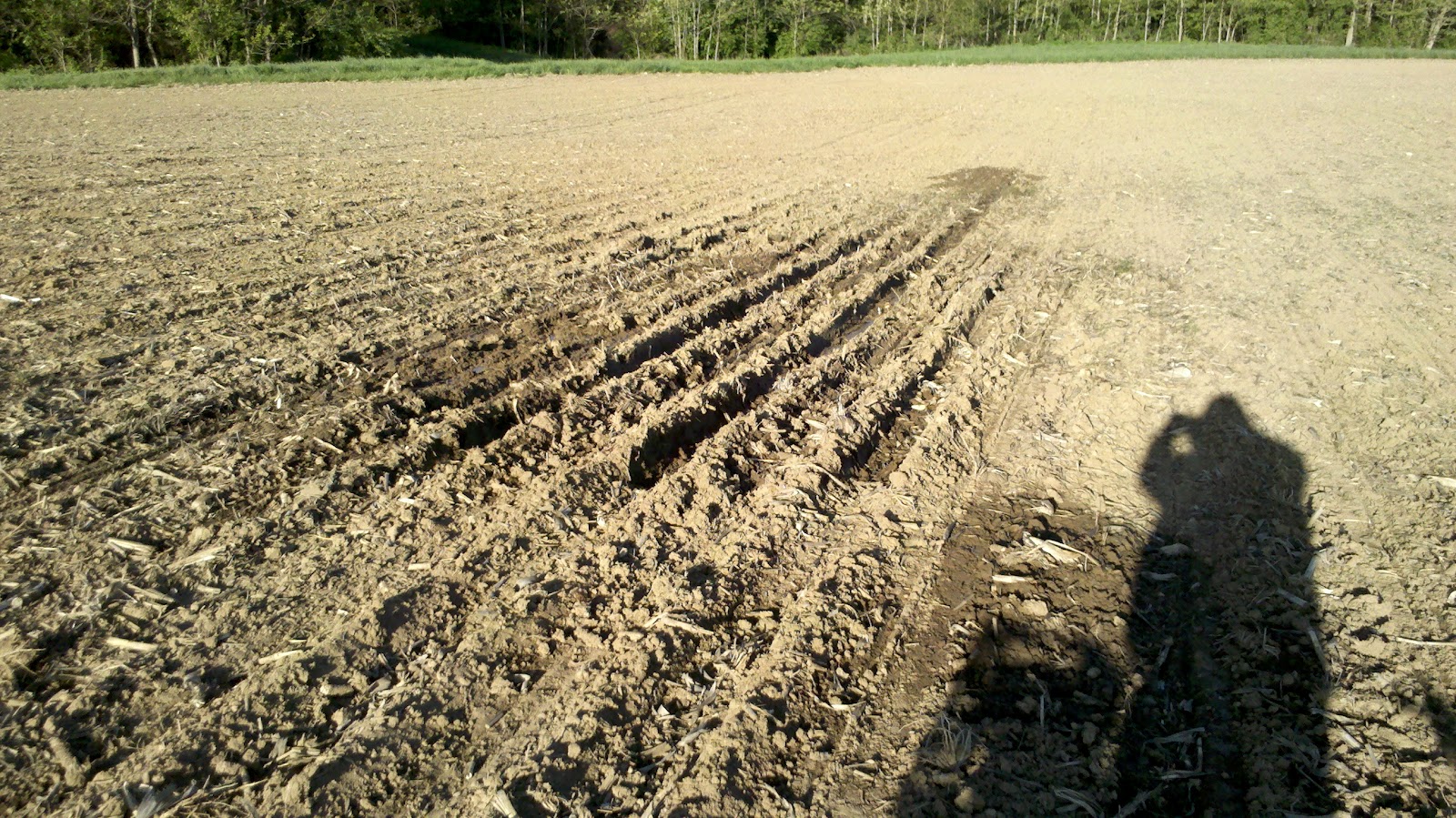 Observations in Agriculture: Hillside Seep