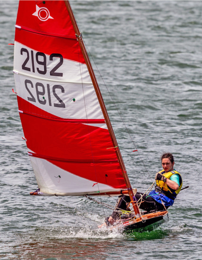 Earwigoagin: Header Photo: The Australian Sailfish; ICWDR 2019
