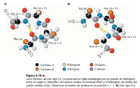 BIOQUIMICA A UN CLICK: ASAS Y GIROS DE LAS PROTEÍNAS.