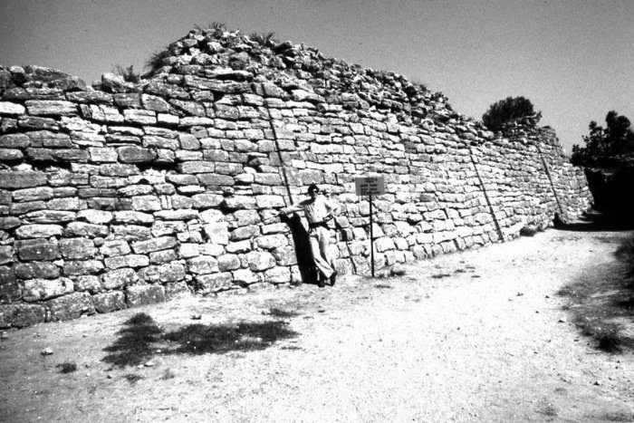 The Economy of Media: Barry B. Powell - Homer For The Rest Of Us!