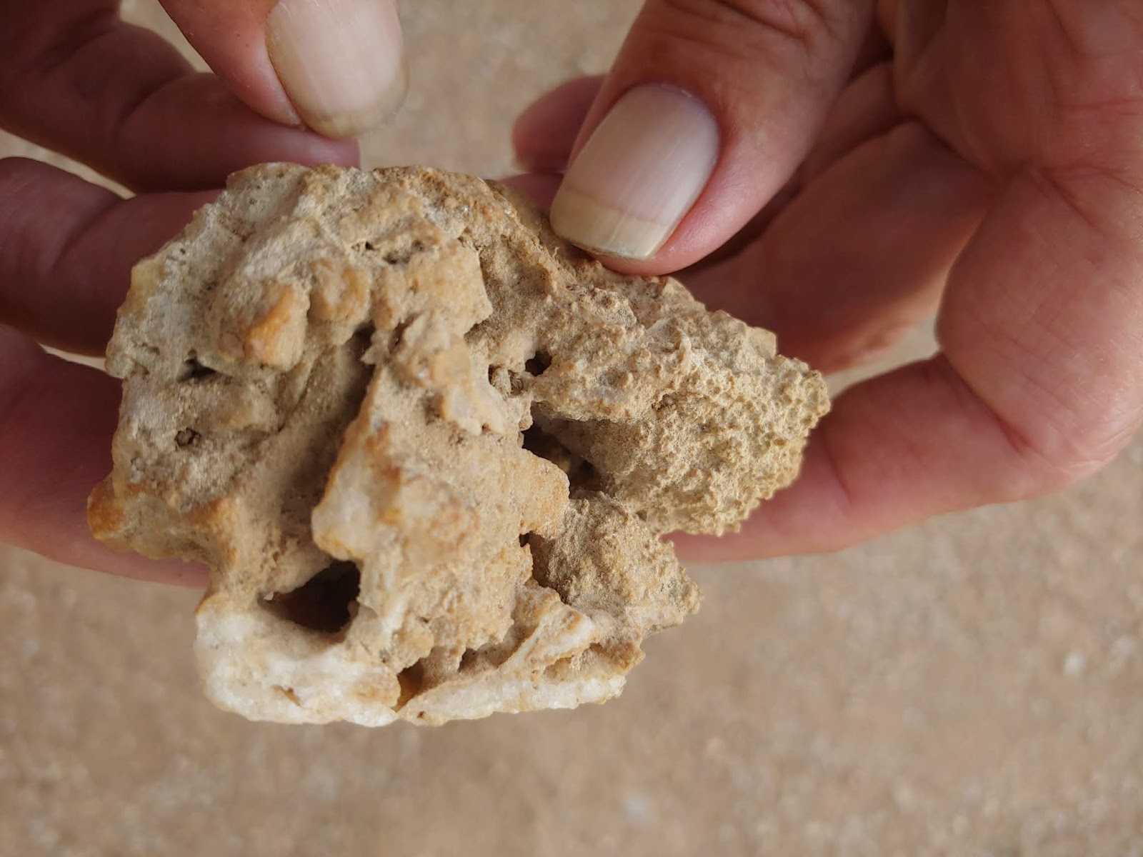 Lovelock Cave Series: Inconsistencies Found in Smithsonian's "Narrative"