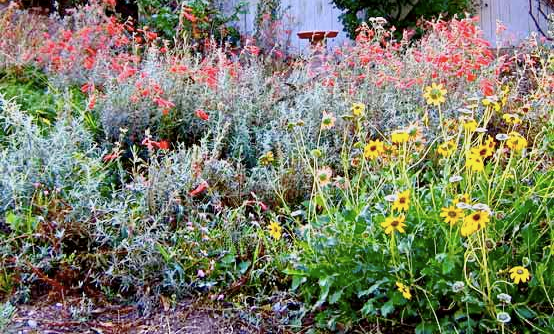 Valley Crest Landscaping Maintenance | How To Grade Landscape