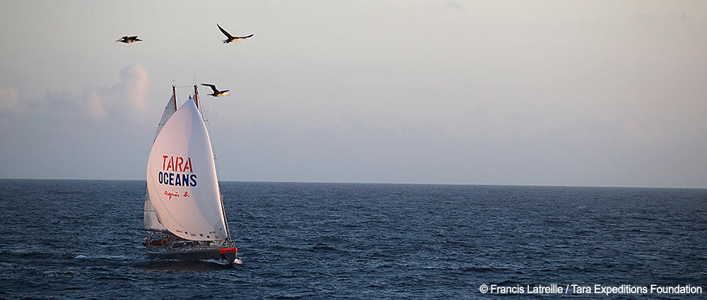 TARA OCEAN EXPEDITION