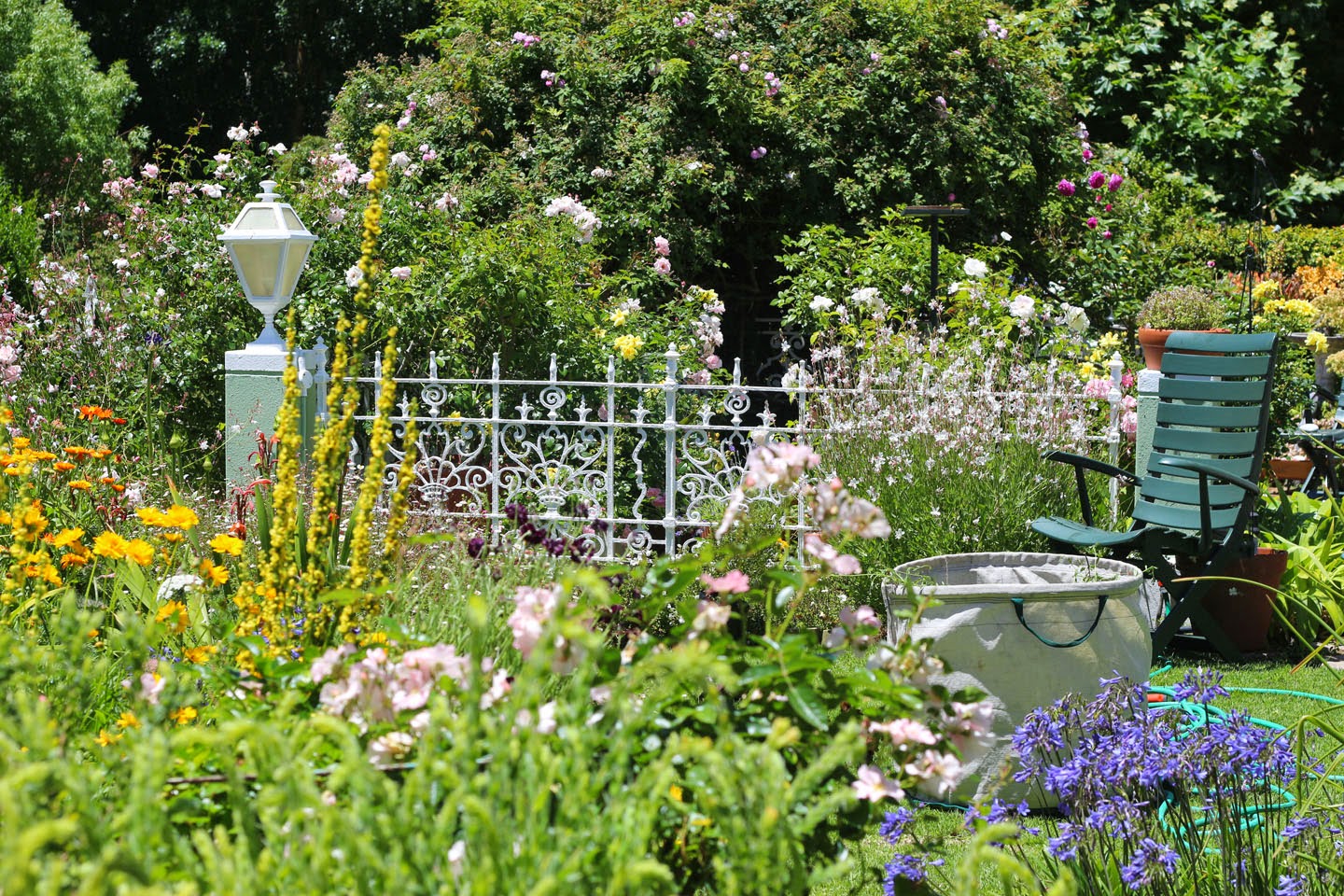 66 Square Feet (Plus): Summer gardening