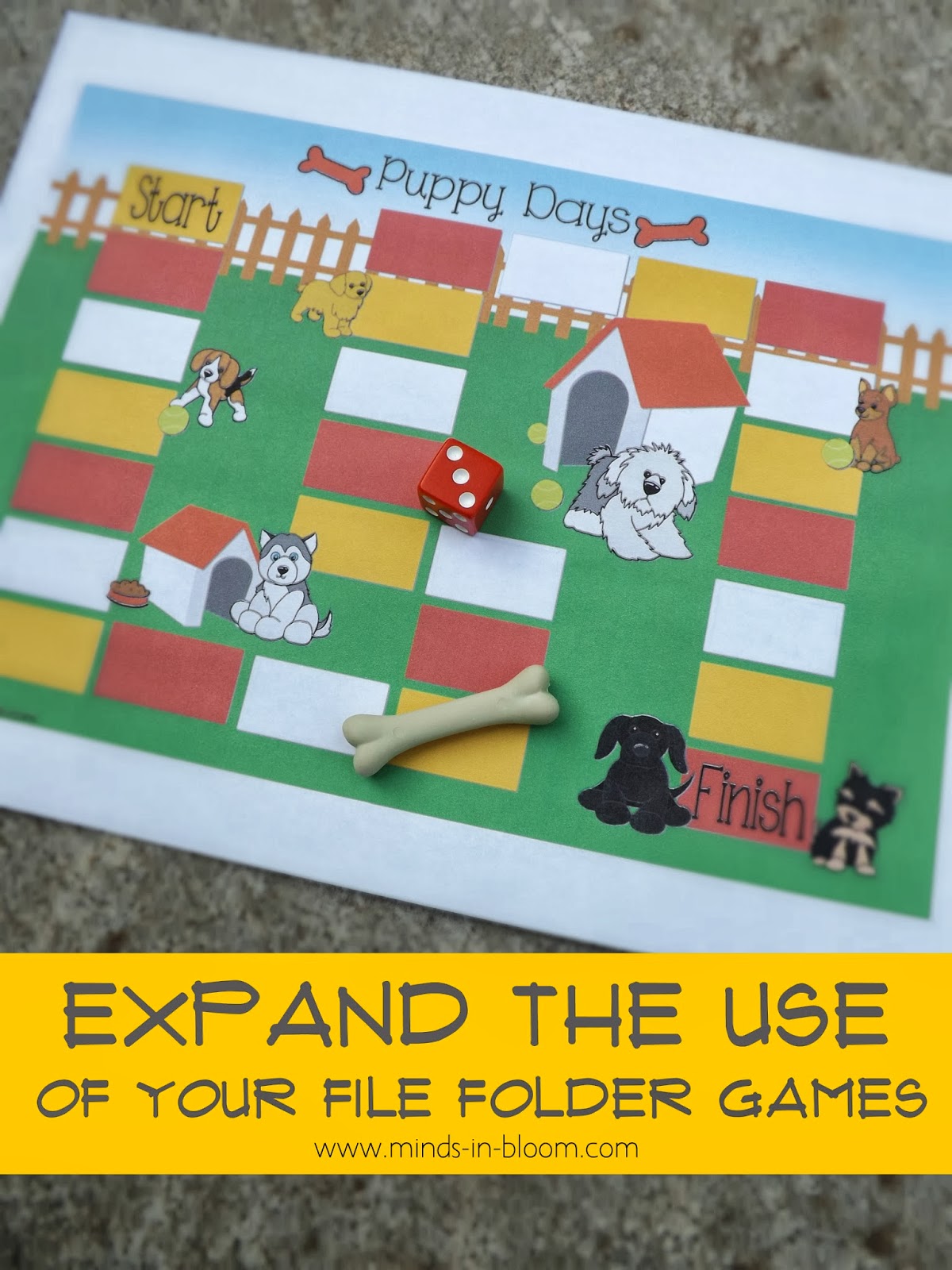 Expand the Use of Your File Folder Games!