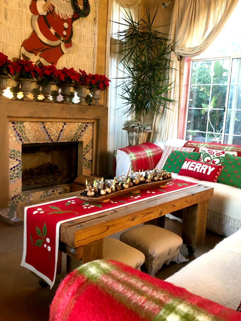 Tamera Beardsley: Christmas Reflections