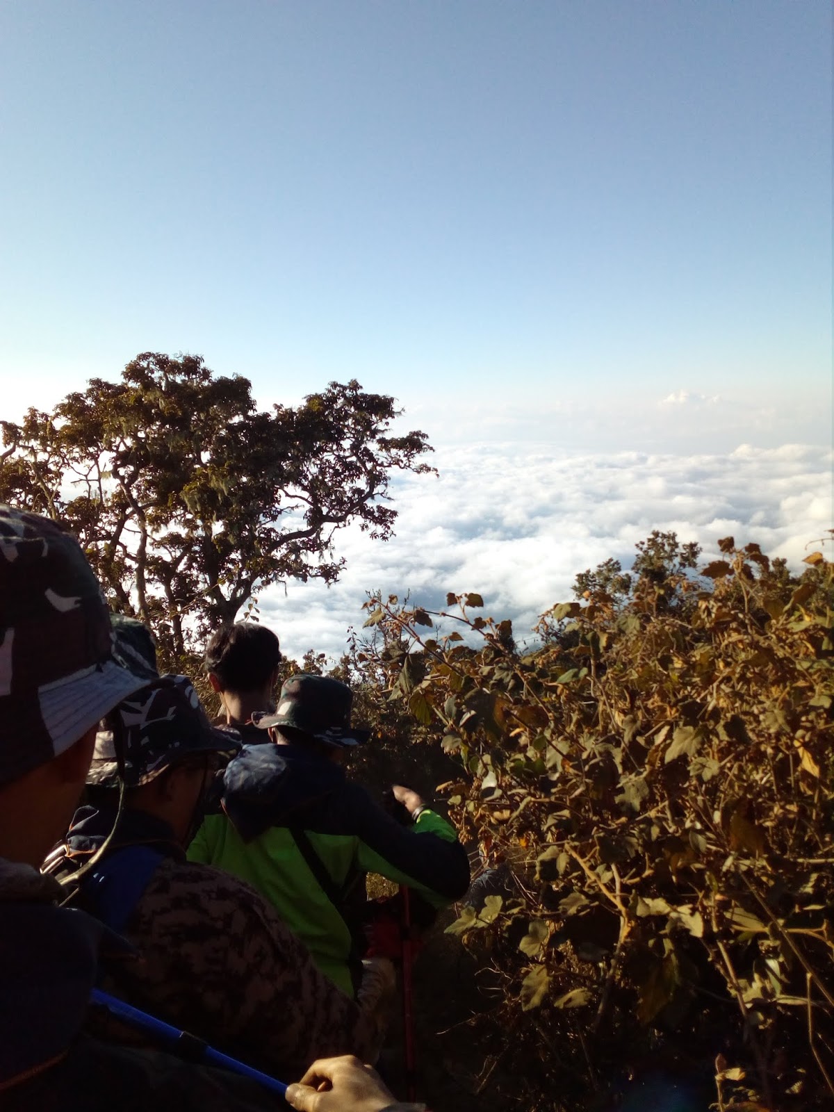 Pendakian Gunung Cikuray via Cintanagara Bayongbong