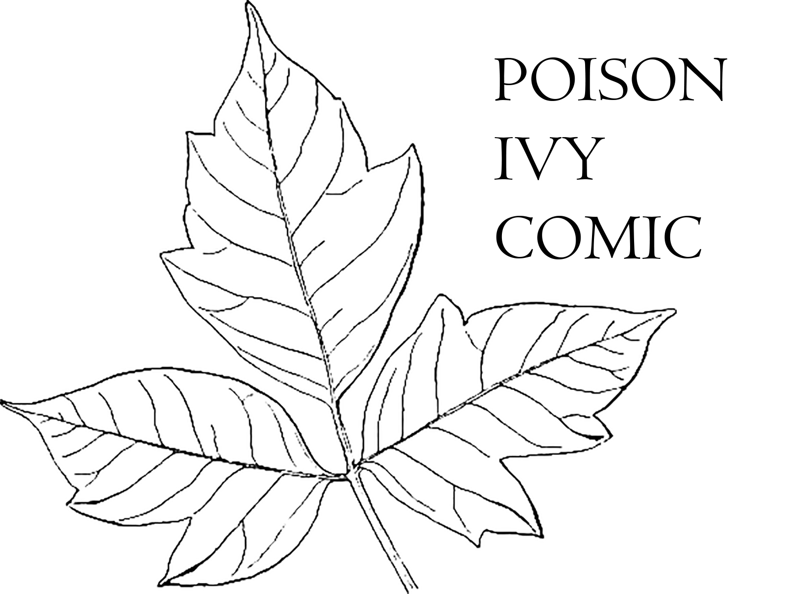 Poison Ivy Leaf Coloring Pages