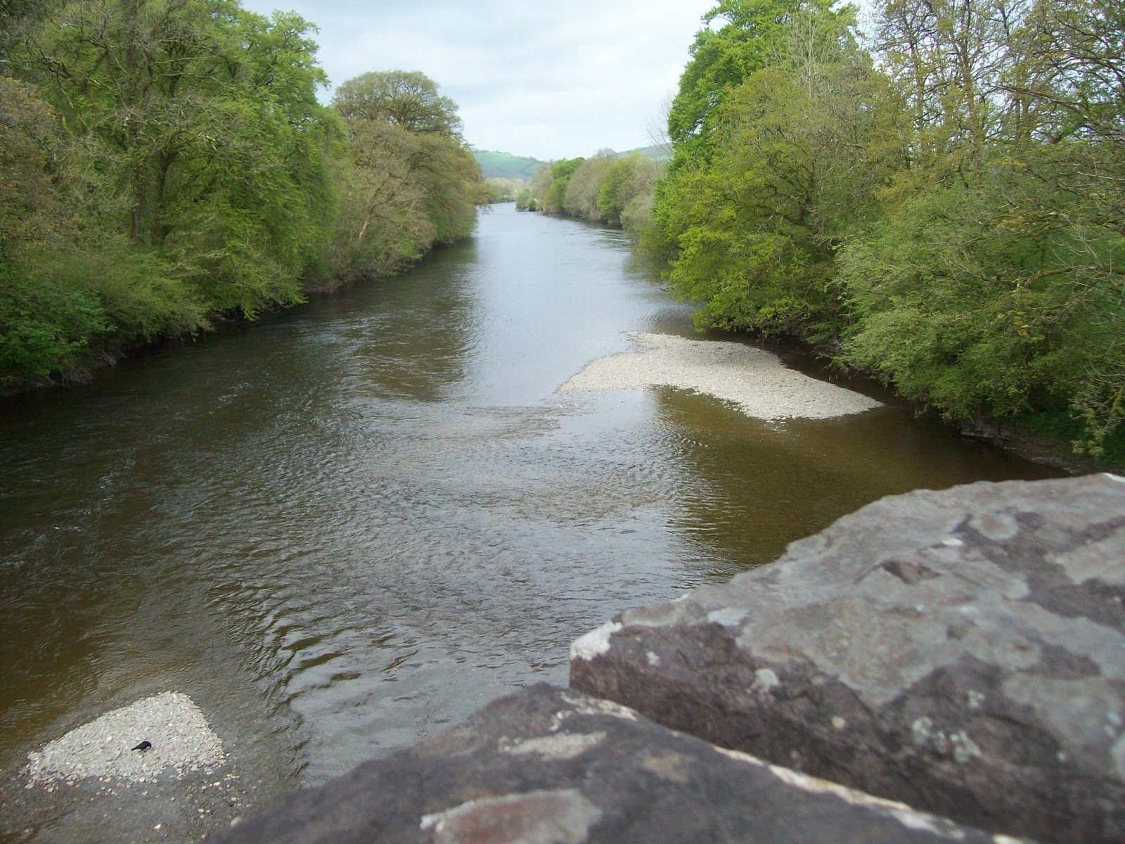Random Bike Rides: Llanddarog to Nantgaredig and back